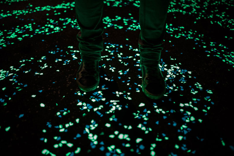 Solar-Powered, Glow in the Dark Bicycle Path Opens in the Netherlands ...