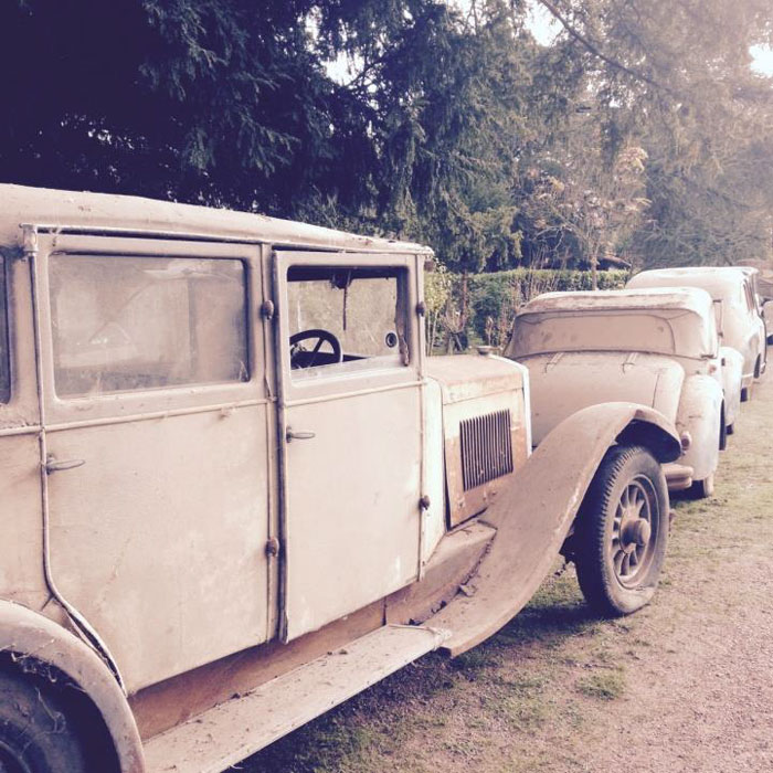 60 Rare Cars Worth Millions Found in French Countryside, Untouched for ...