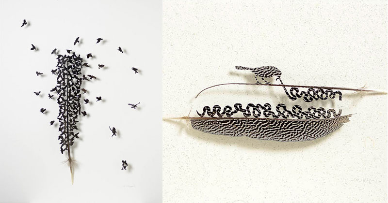 Artist Turns Moulted Feathers Into Works of Art Using Scissors ...