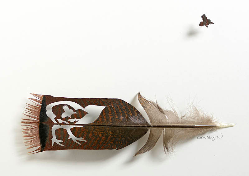 Artist Turns Moulted Feathers Into Works of Art Using Scissors ...