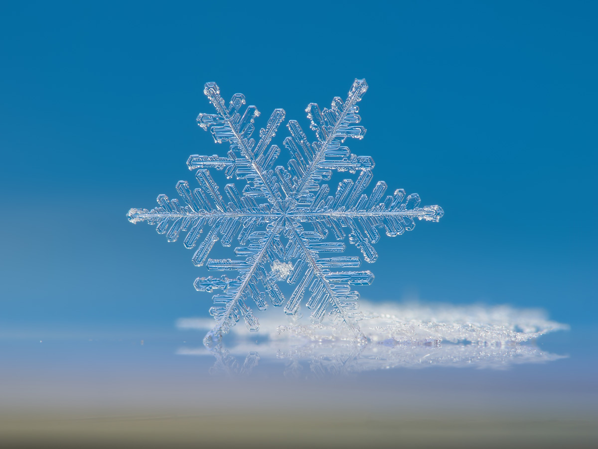 Picture of the Day: Macro Snowflake - TwistedSifter