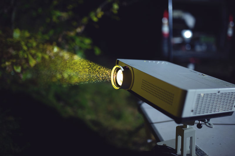 Artists Create a Bioluminescent Forest Using Projectors - TwistedSifter