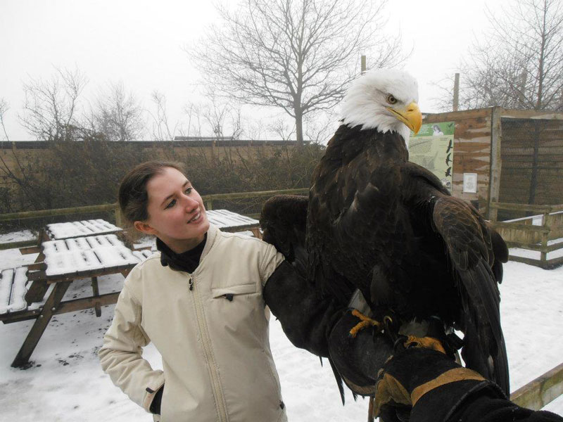 Handler Shares Her Amazing Images With Birds of Prey » TwistedSifter