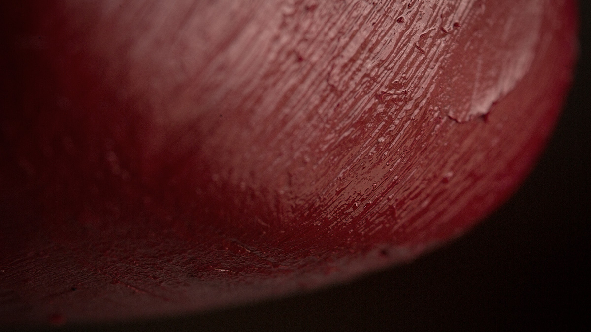 Extreme Close-Ups of Everyday Things » TwistedSifter