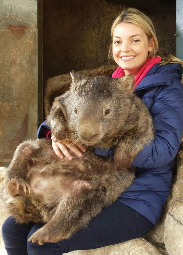Meet Patrick, the World’s Oldest and Largest Living Wombat » TwistedSifter