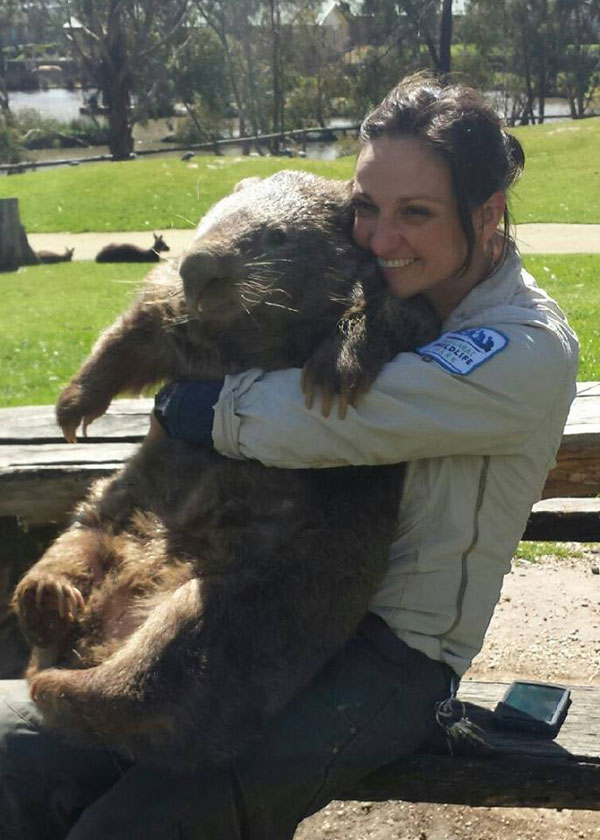 Meet Patrick, the World's Oldest and Largest Living Wombat - TwistedSifter