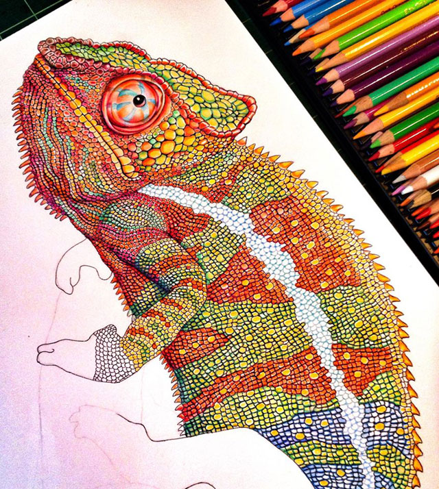 Tim Jeffs Draws Incredibly Detailed Lizards Using Pencil Crayons ...