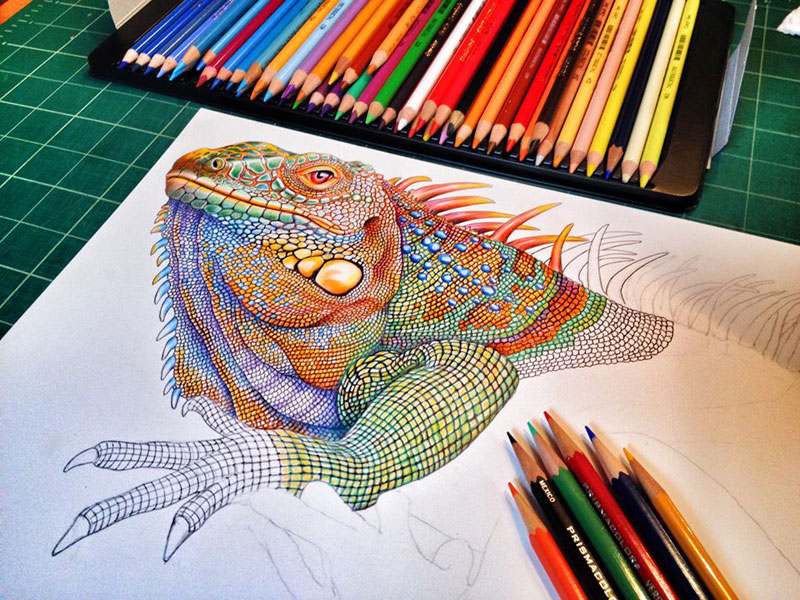 Tim Jeffs Draws Incredibly Detailed Lizards Using Pencil Crayons ...