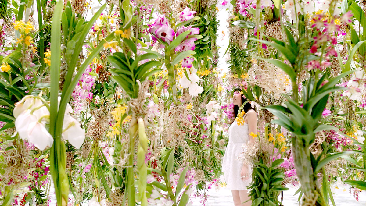 The Floating Garden in Japan Where Flowers Move Skyward as you Approach ...