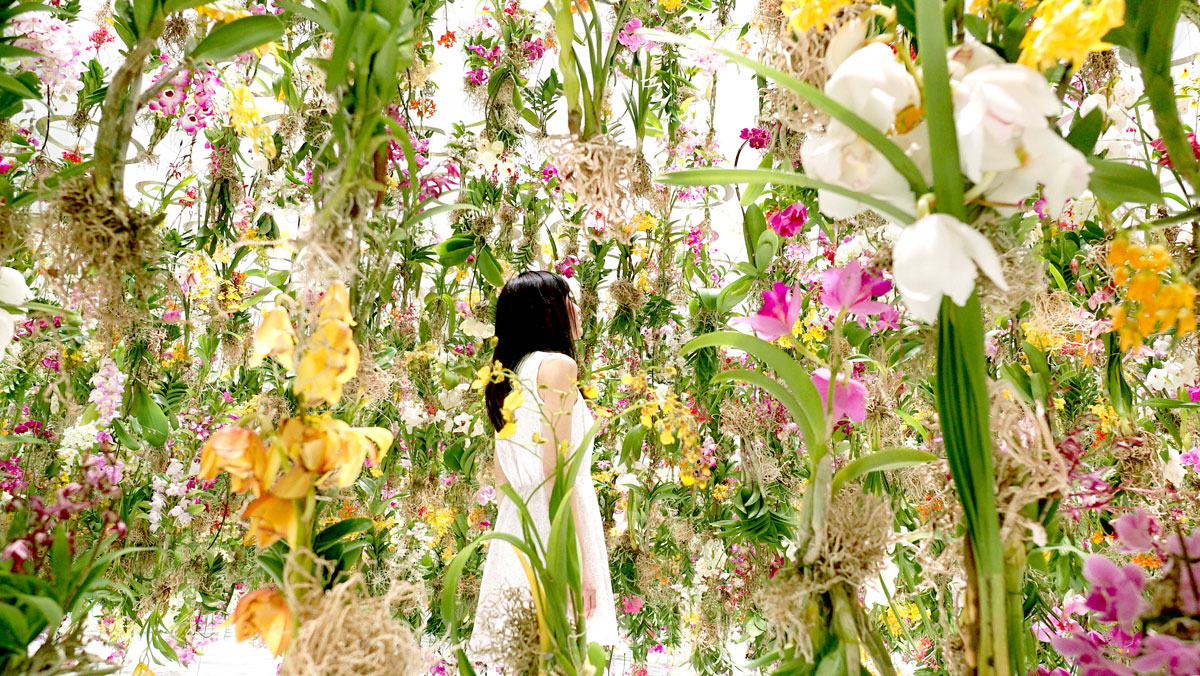 The Floating Garden in Japan Where Flowers Move Skyward as you Approach ...