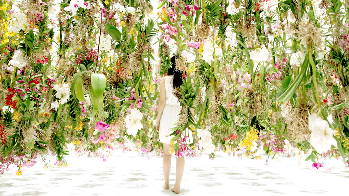 The Floating Garden in Japan Where Flowers Move Skyward as you Approach ...