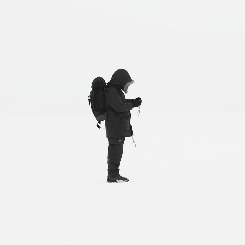 Picture of the Day: Portraits in Antarctica - TwistedSifter