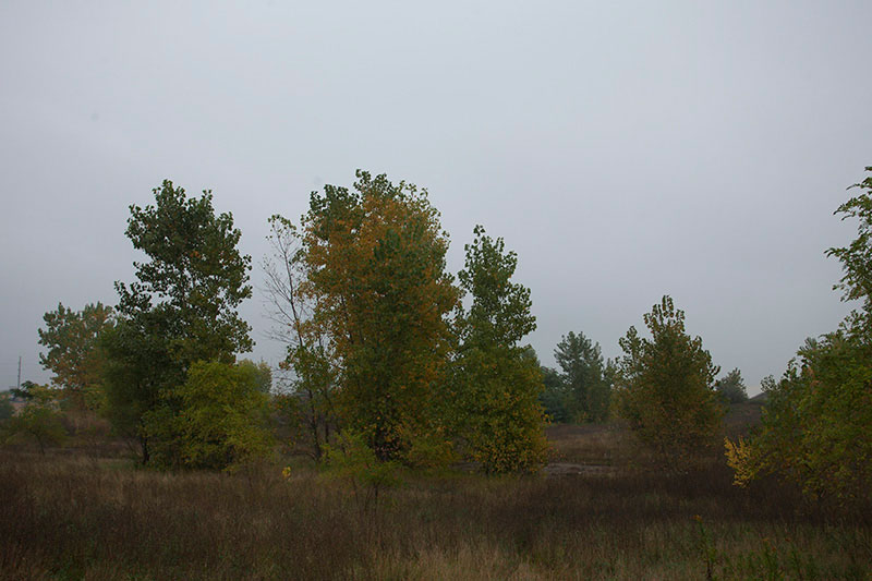 Historic Photos of Detroit and their Modern Day Equivalent » TwistedSifter
