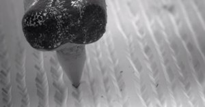 playing-vinyl-under-an-electron-microscope » TwistedSifter