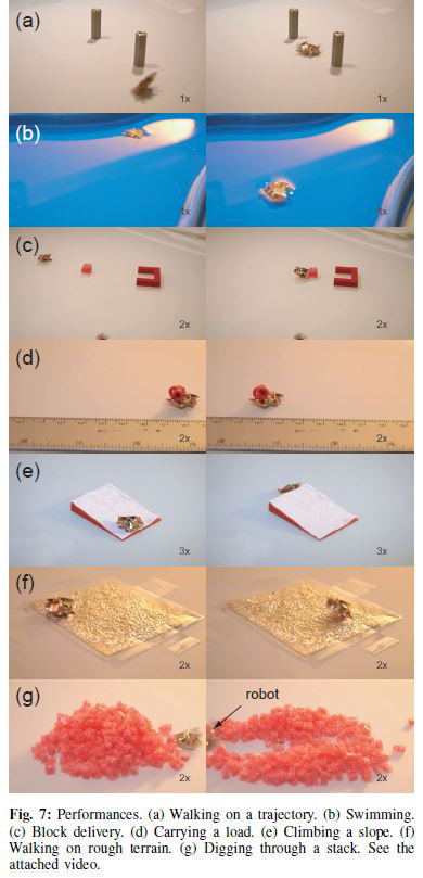 This Tiny Self-Folding Origami Robot can Walk, Swim and Degrade ...