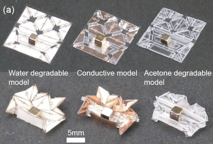 This Tiny Self-Folding Origami Robot can Walk, Swim and Degrade ...