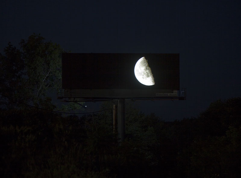 Artist Buys a Month of Digital Billboard Space to Display Nature Photos ...
