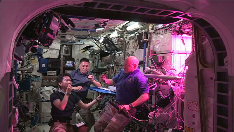 Astronauts on ISS Eat Veggies They Grew in Space » TwistedSifter
