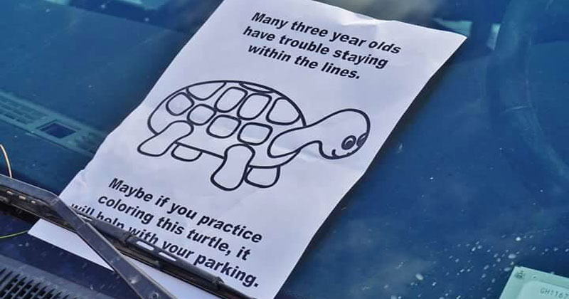 parking turtle » TwistedSifter