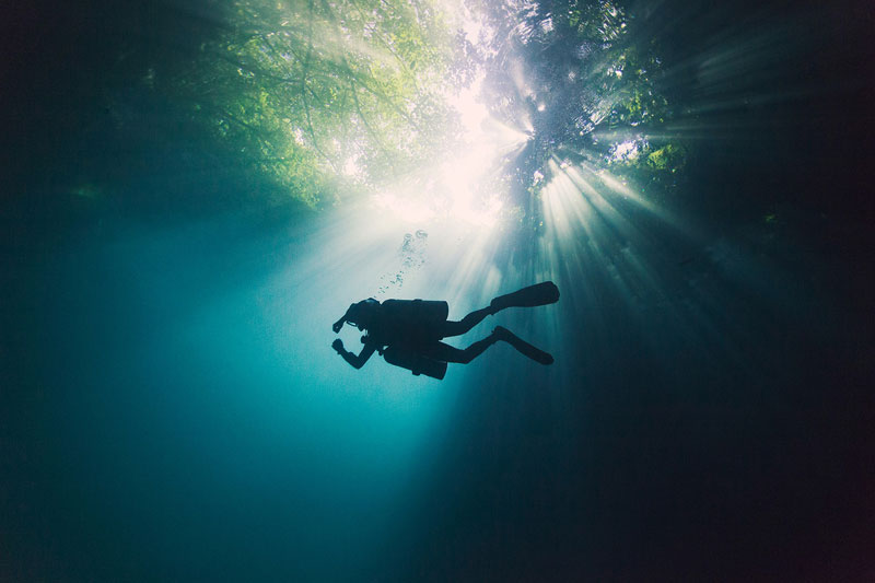 The Breathtaking Underwater Portraits of 27MM - TwistedSifter