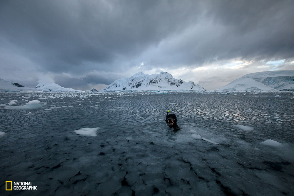Highlights from the 2015 National Geographic Photo Contest (12 Photos ...