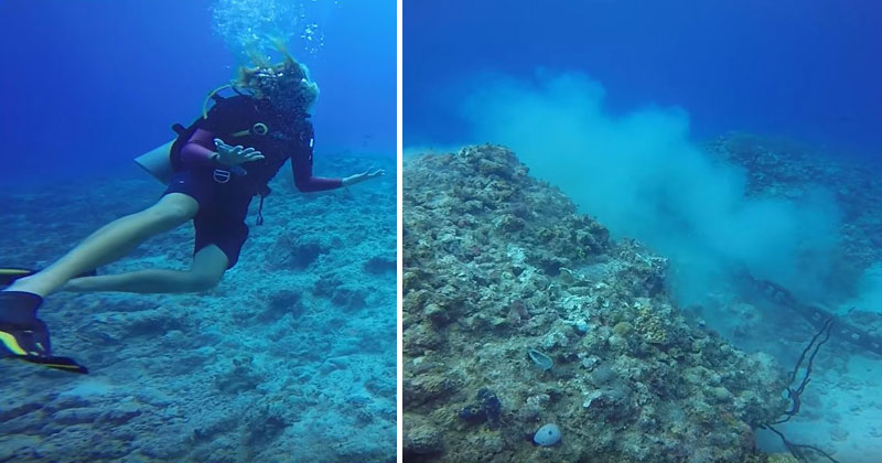 Scuba Divers Capture Shocking Reef Devastation Caused by Anchored ...
