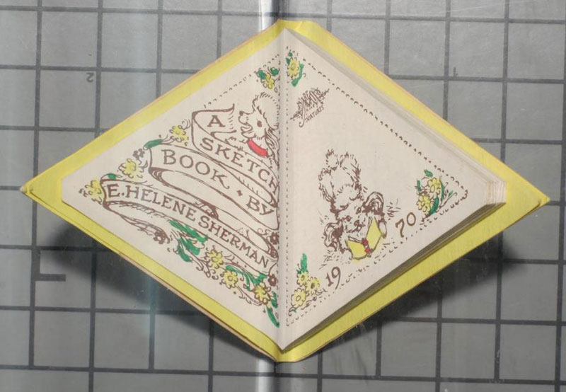 This Library Has an Awesome Miniature Book Collection » TwistedSifter