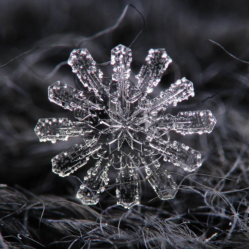 6 Amazing Close-Ups of Individual Snowflakes from this Winter ...