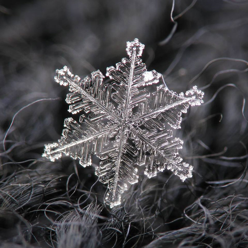 6 Amazing Close-Ups of Individual Snowflakes from this Winter ...