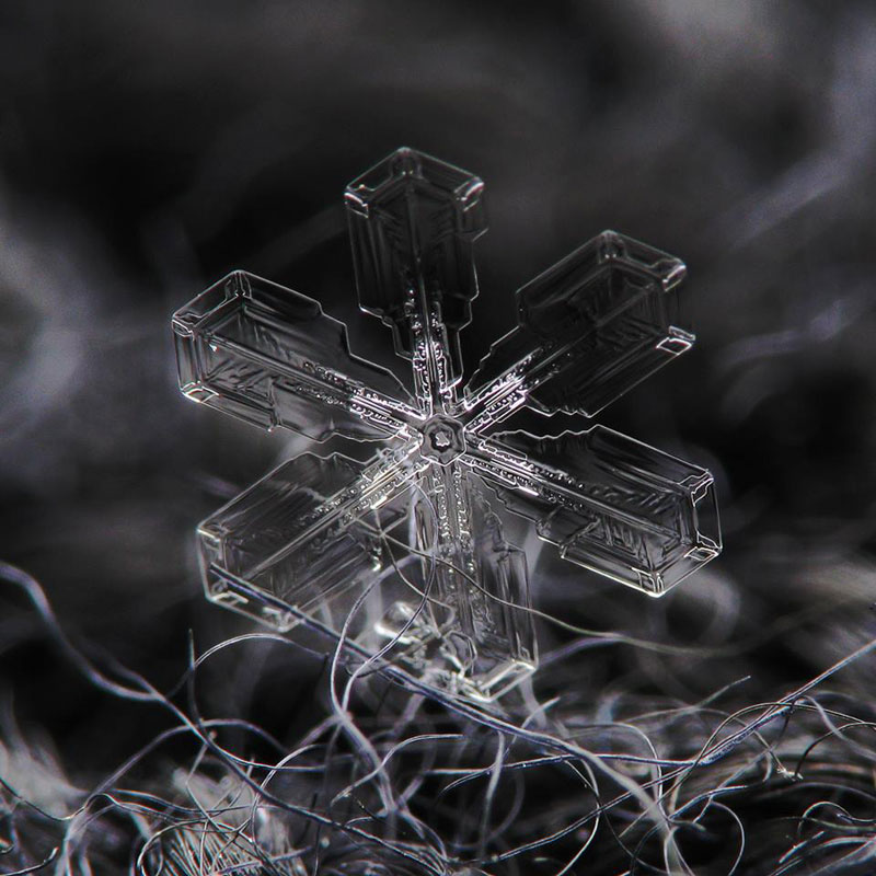 6 Amazing Close-Ups of Individual Snowflakes from this Winter ...