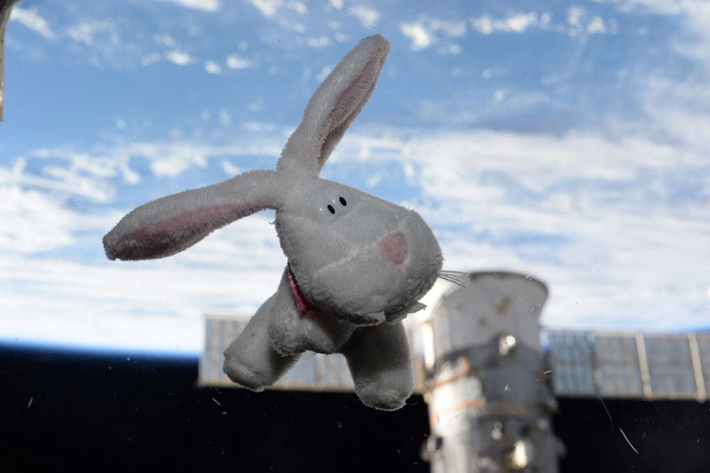 Picture of the Day: Happy Easter from Space » TwistedSifter