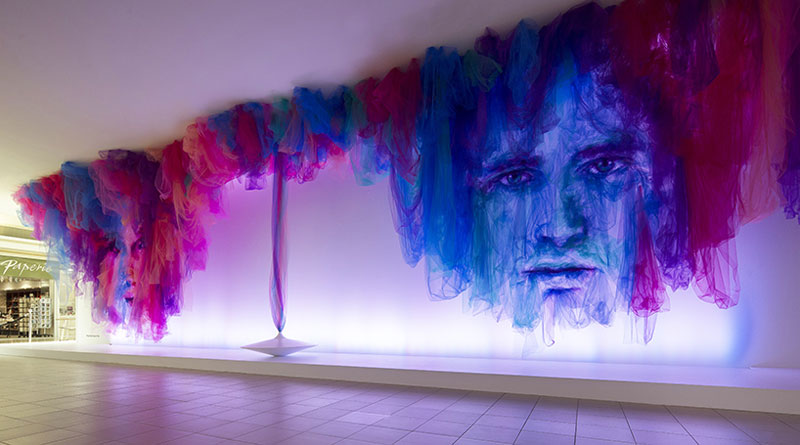 Jaw-Dropping Portraits Made from Layered Pieces of Tulle - TwistedSifter