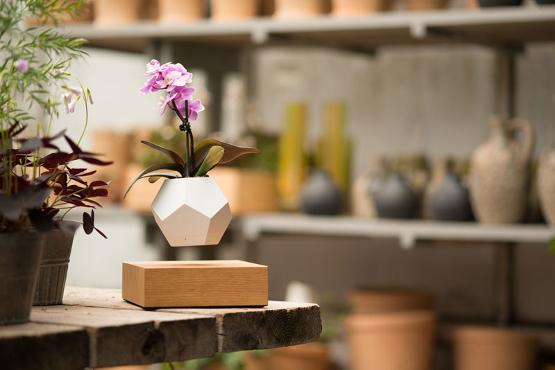 These Floating Pots Let Your House Plants Levitate and Spin - TwistedSifter