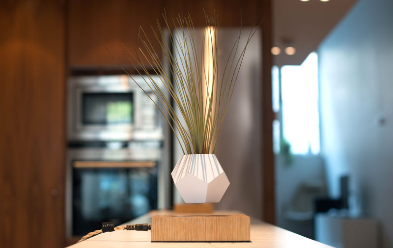 These Floating Pots Let Your House Plants Levitate and Spin » TwistedSifter