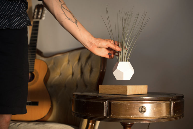 These Floating Pots Let Your House Plants Levitate and Spin - TwistedSifter