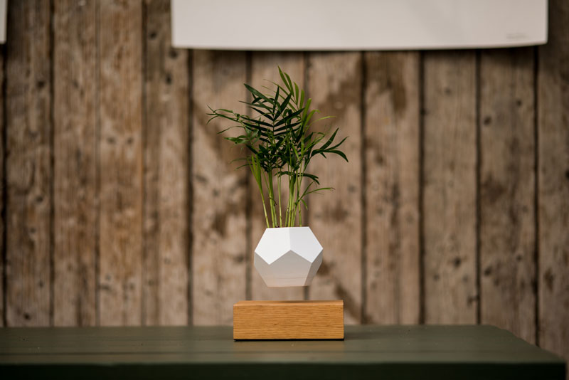 These Floating Pots Let Your House Plants Levitate and Spin - TwistedSifter