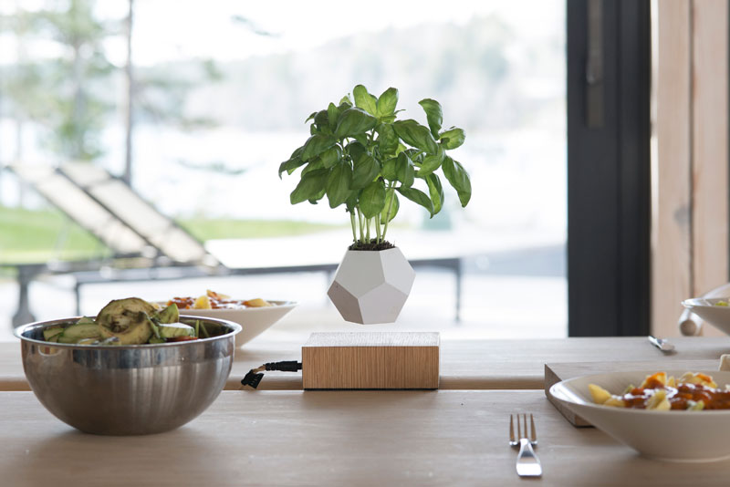 These Floating Pots Let Your House Plants Levitate and Spin » TwistedSifter