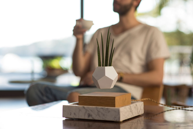 These Floating Pots Let Your House Plants Levitate and Spin » TwistedSifter