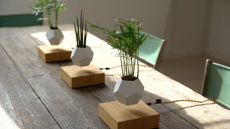 These Floating Pots Let Your House Plants Levitate and Spin » TwistedSifter