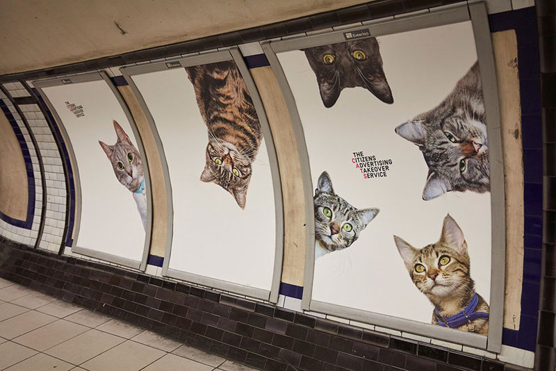 Citizen Campaign to Replace All Ads with Cats Triumphantly Launches in ...