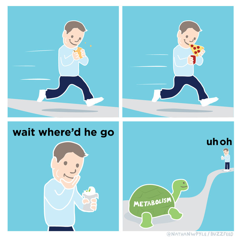 16 Funny Food Comics That Hit Close To Home » TwistedSifter