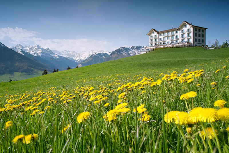 People are Calling This Rooftop Infinity Pool in the Swiss Alps the ...
