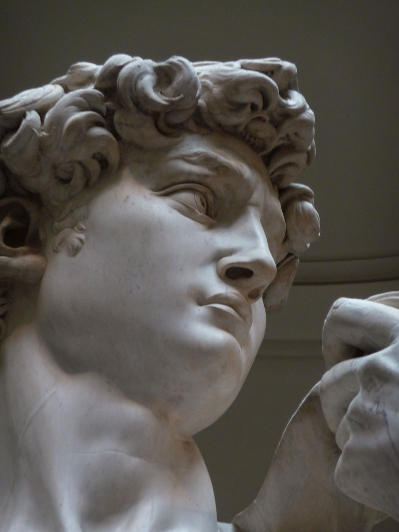 These Ultra Detailed Close-Ups Will Give You a Deeper Appreciation for ...