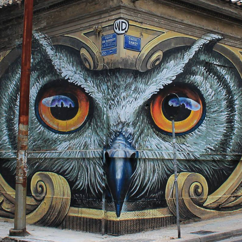 Artist Completely Transforms Intersection with Incredible Owl Mural ...