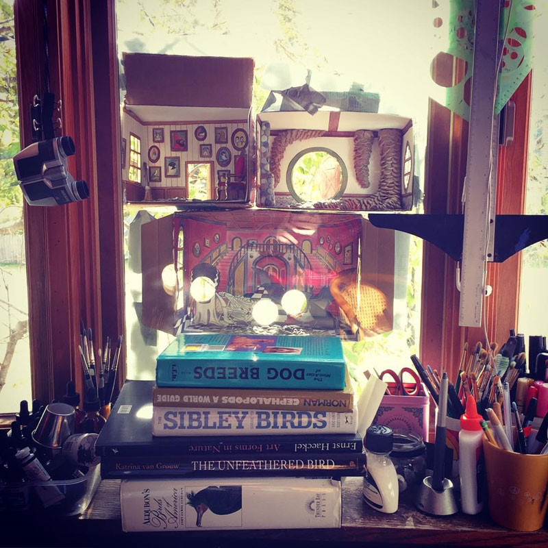 This Woman Makes Tiny Homes for Her Wild Bird Friends » TwistedSifter