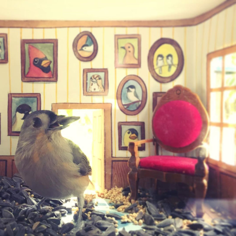 This Woman Makes Tiny Homes for Her Wild Bird Friends » TwistedSifter