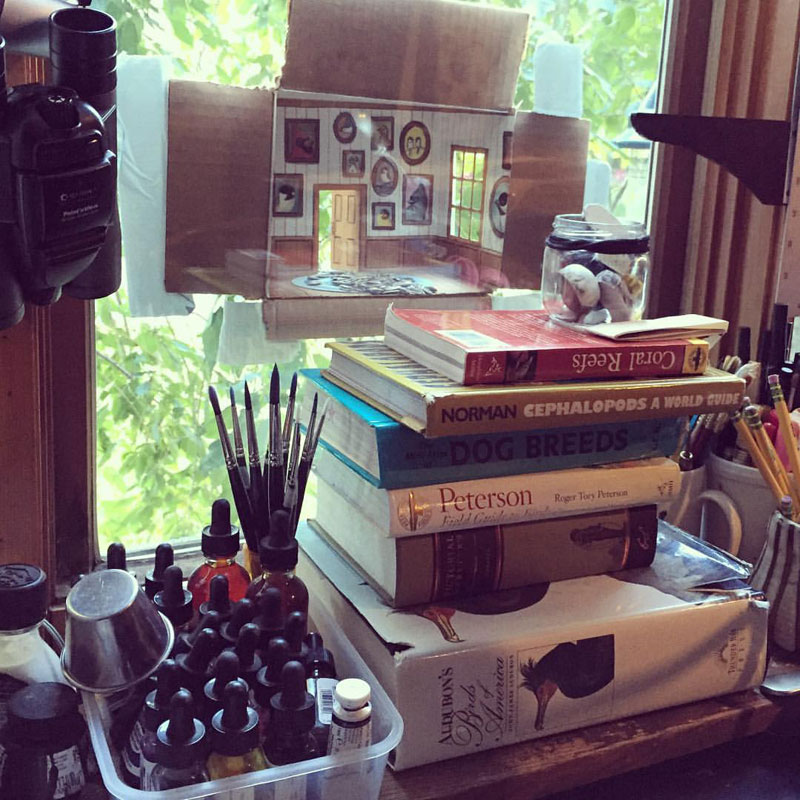 This Woman Makes Tiny Homes for Her Wild Bird Friends » TwistedSifter