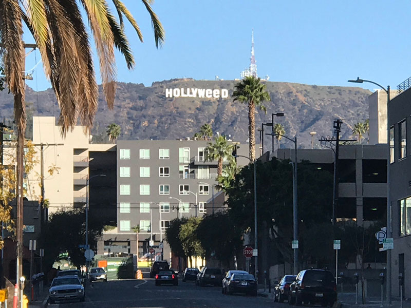 Picture of the Day: Welcome to Hollyweed » TwistedSifter