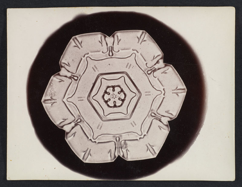 In 1885 Wilson Bentley Took the First Ever Photographs of Snowflakes ...