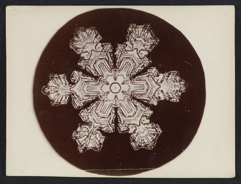 In 1885 Wilson Bentley Took the First Ever Photographs of Snowflakes ...